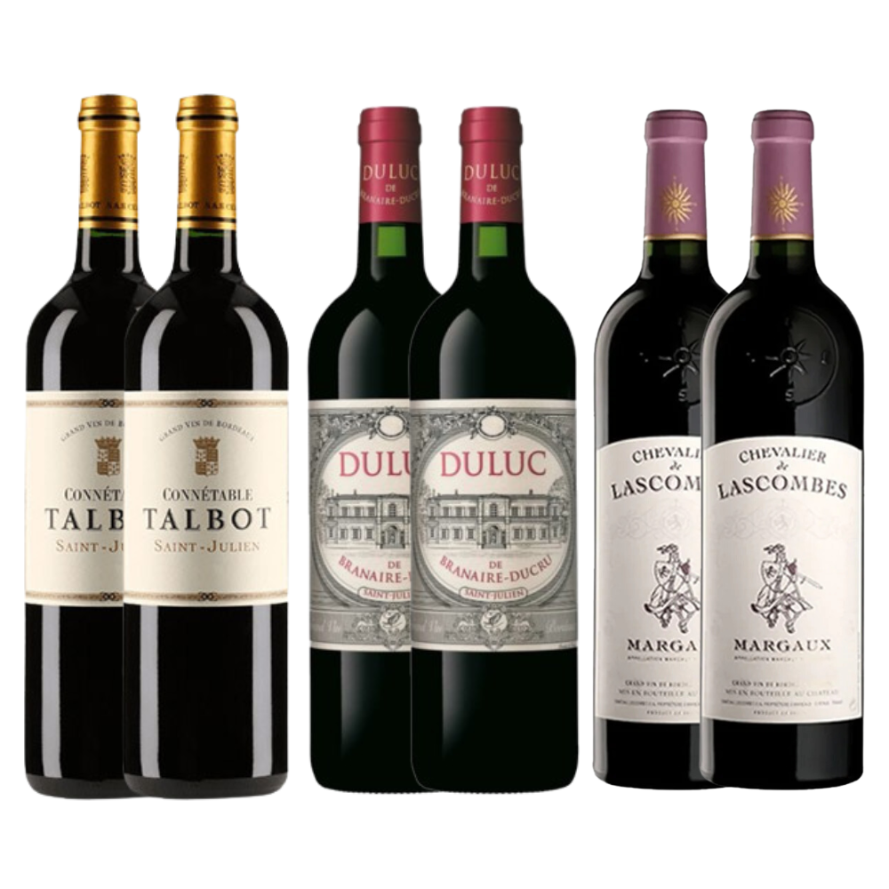 Bordeaux Second Wine Expert Tasting Set